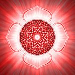 5 Signs Your Root Chakra Is Overactive (And How To Balance It)